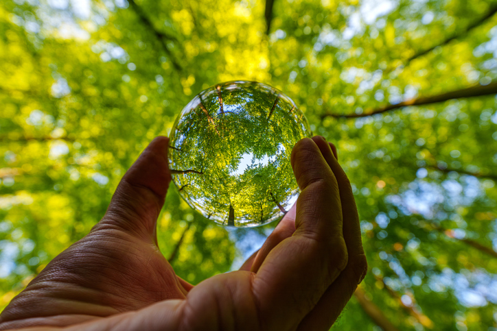 Digging Deep into the Purpose of Purpose